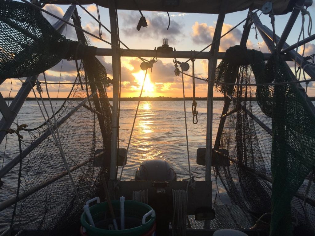 Gallery – Louisiana Swamp Tours and Fishing Charters, LLC & Louisiana ...